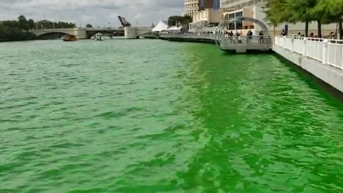 San Patricio: Se pinta de verde el Río Hillsborough en el centro de ...