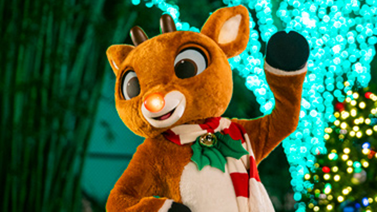 Busch Gardens celebra la Navidad con Christmas Town – Telemundo Tampa (49)