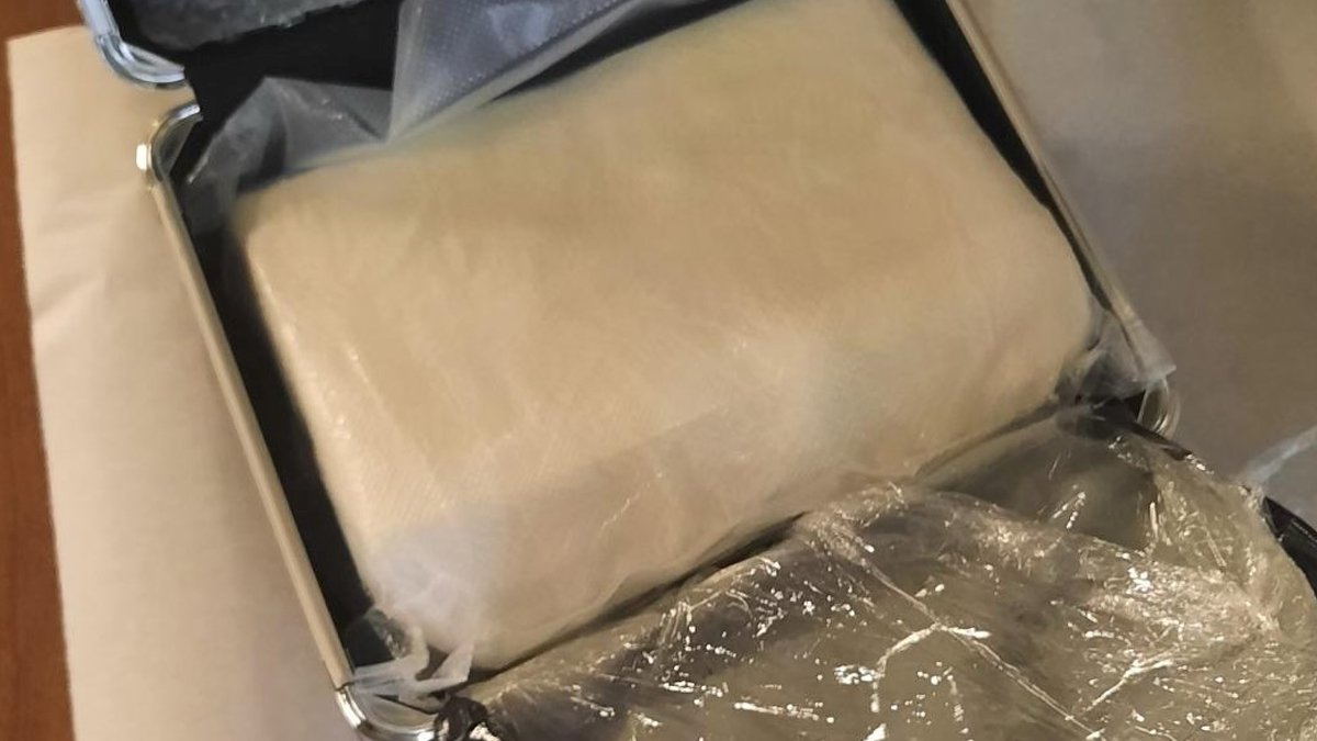 Policía: hombre de Hernando recibe kilo de cocaína por correo desde ...