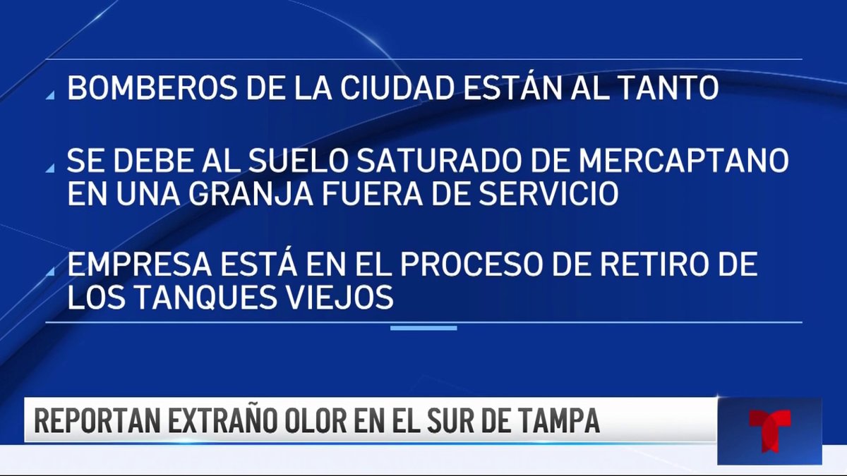 Reportan extraño olor en el Sur de Tampa – Telemundo Tampa (49)