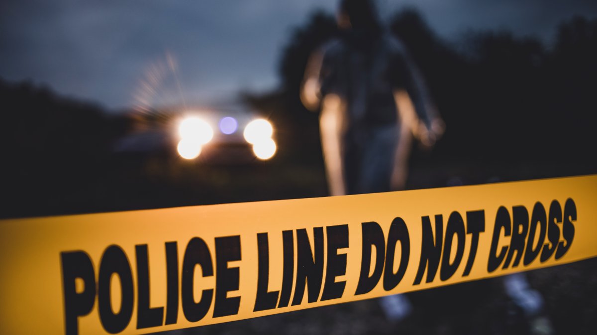 Tras las rejas el conductor que presuntamente estrelló su auto contra ...