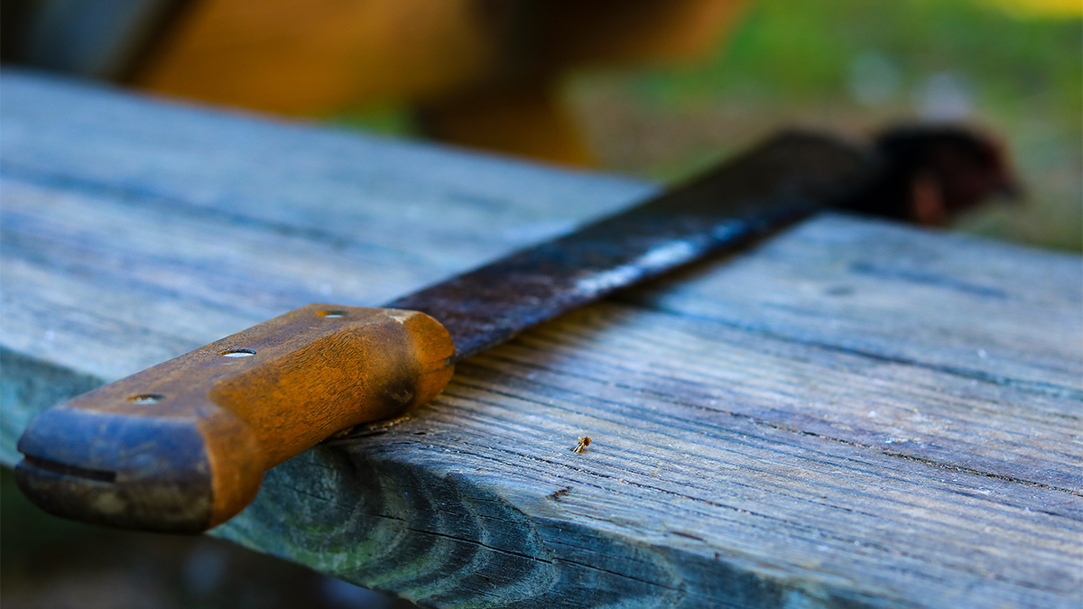 Disputa familiar termina con ataque a machetazos en Florida – Telemundo ...