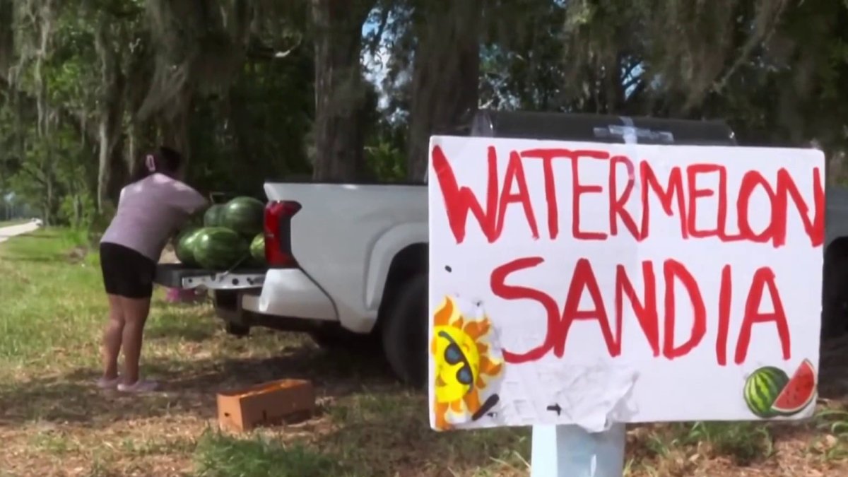 Madre en Wimauma vende sandía para sustentar a su familia – Telemundo ...